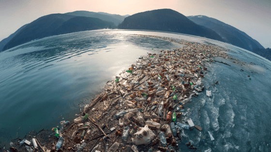 How to Reduce Plastic Waste with a Different Approach to Cleaning and ...